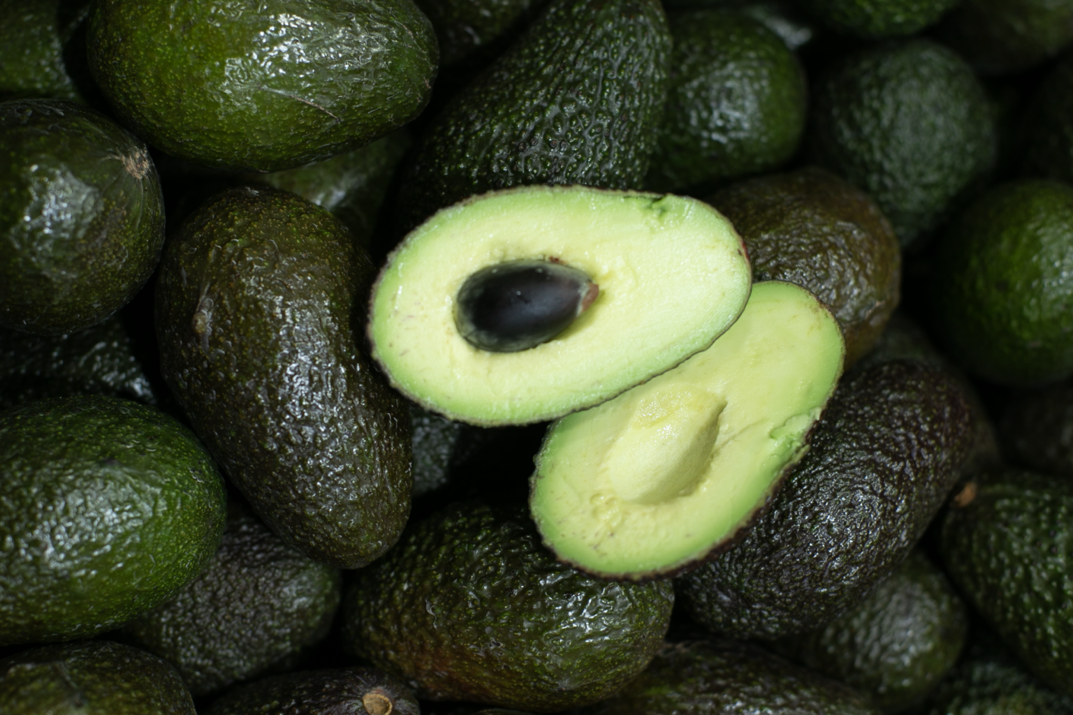 Los Gringos S.A – Proveedores de frutas y verduras